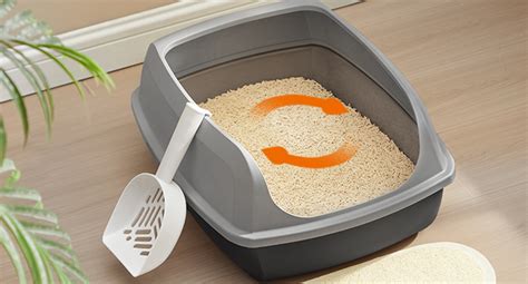 Feandrea High Sided Cat Litter Tray Xl Open Top Litter Box With Scoop