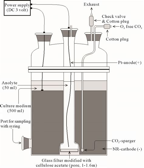 Electrochemical Bioreactor Composed Of Graphite Felt Modified With Nr Download Scientific