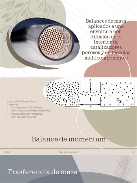 balance momentum pdf catálisis gases