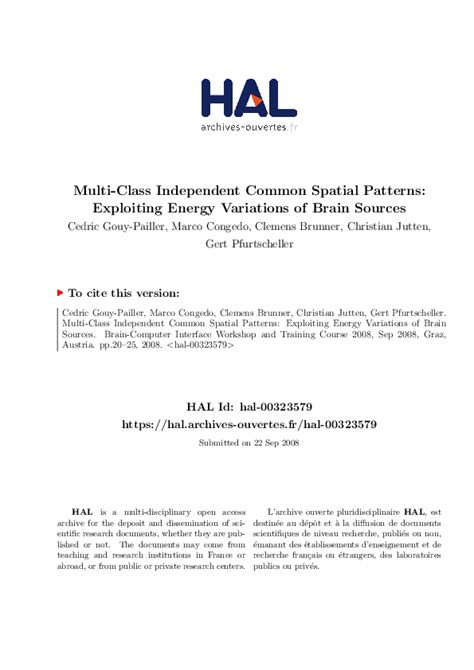 Pdf Multi Class Independent Common Spatial Patterns Exploiting