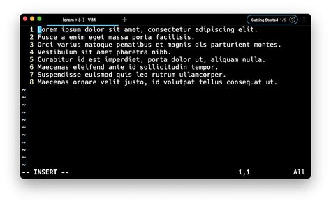 What Are The Vim Vi Modes