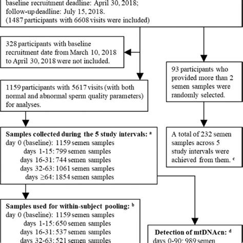 Study Flow A Participants May Provide Repeated Semen Samples During Download Scientific