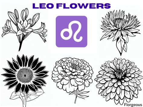 What Is A Leo S Birth Flower At Alexander Ogilvie Blog