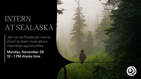 Mysealaska Codefy Software Development Training