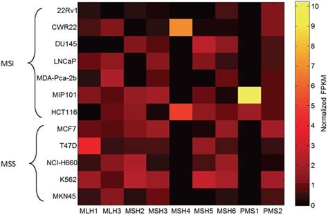 Values Are Normalized By The Mean Value Of Each Column Download Scientific Diagram