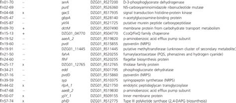 Selected Pseudomonas Fluorescens Nbc275 Transposon Insertion Mutants Download Scientific