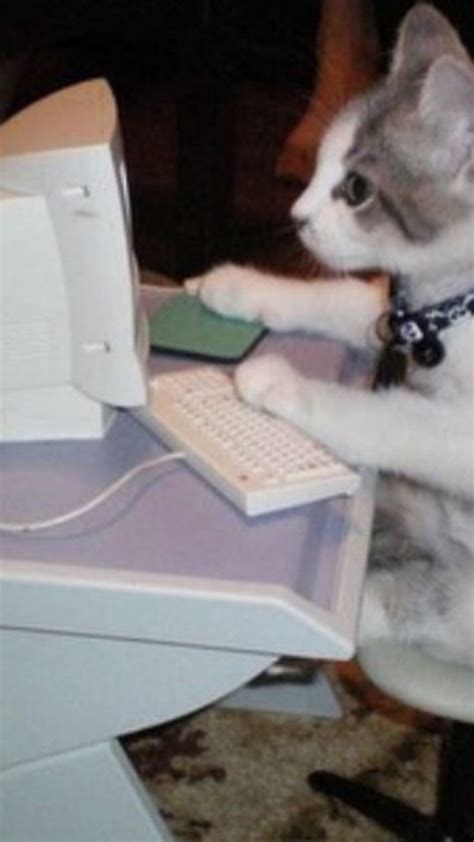 Hackbyte When You See The Biggest Hackathon Opportunity And Just Know