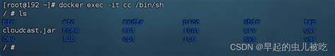 Docker Exec进不去容器的解决方法docker Exec 进不去容器 Csdn博客
