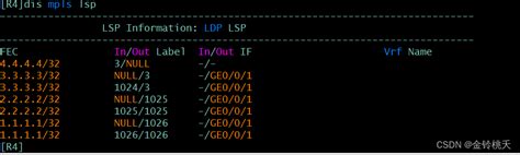 Mpls动态配置实验(初学版)mpls动态lsp实验 Csdn博客 Mpls动态配置实验(初学版)mpls动态lsp实验 Csdn博客