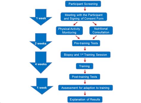 Flow Chart Timeline Process Flow Chart With Timeline