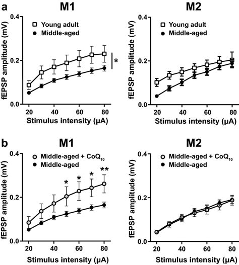 An Age Related Decline In Synaptic Transmission In The Motor Cortex Of Download Scientific