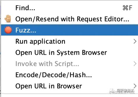 阿萨聊测试 Zap4：如何用zap 做fuzz测试？携手创作，共同成长！这是我参与「掘金日新计划 · 8 月更文挑战」的 掘金