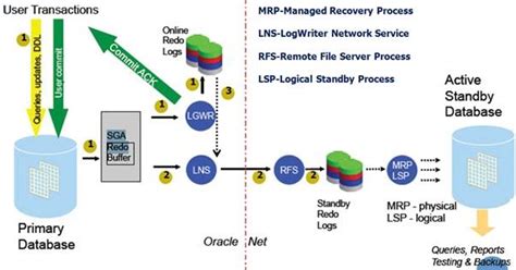 learning oracle oracle data guard