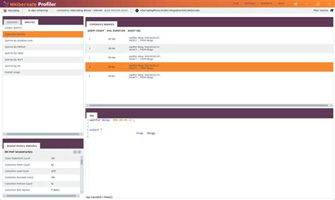 NHibernate Profiler Hibernating Rhinos