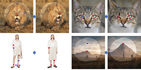 Drag Your Gan Draggan Ai Image Editing Test And Usage Guide Genape Ai