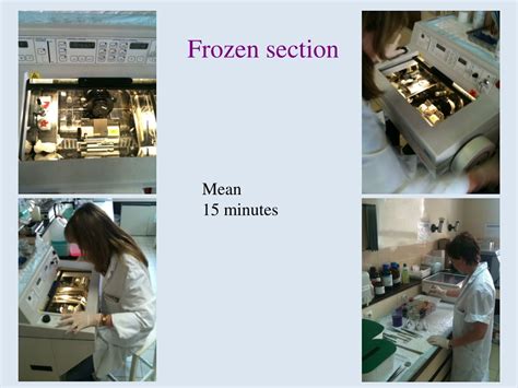 Ppt Frozen Section Powerpoint Presentation Free Download Id 8970336