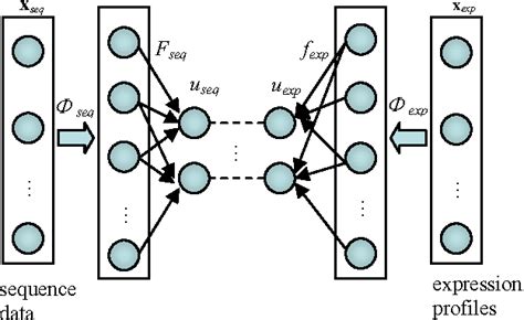 Figure 1 From Correlation Analysis Between Regulatory Sequence Motifs