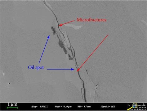 The Oil Distribution Characteristics In Microfractures Download