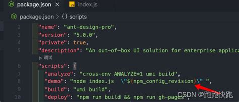 掌握三种nodejs命令行参数传递方式：npm Run、npmconfig与cross Env Csdn博客