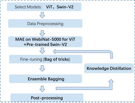 Accv2022｜大规模细粒度图像分类冠军方案 极市开发者社区