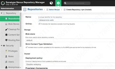 Nexus Npm Segmentfault