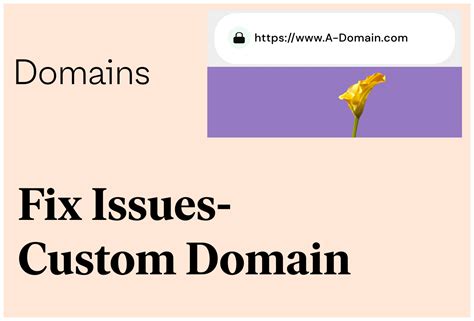 fix issues with connecting a custom domain to elementor host elementor