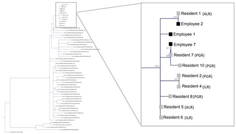 Sars Cov 2 Alpha Variant Outbreak Amongst A Partially Vaccinated Long