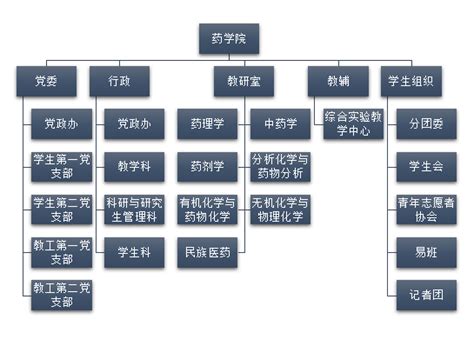 药学院组织结构图 右江民族医学院药学院
