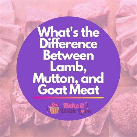 Lamb Vs Goat The Key Differences Explained