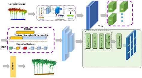 Pointdmm A Deep Learning Based Semantic Segmentation Method For Point Clouds In Complex Forest