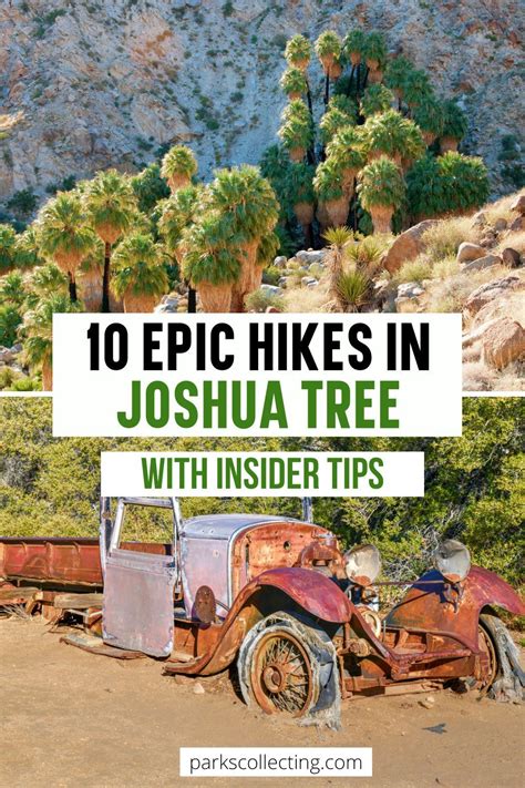 The 13 Best Hikes In Joshua Tree National Park Artofit