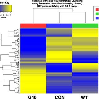 Analysis Of Hierarchical Clustering Heat Map Shows Expression Levels