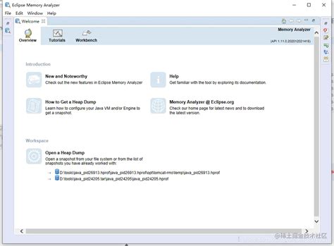 Java内存分析工具matmemory Analyzer Tool的介绍与使用 卡卡西殿 博客园