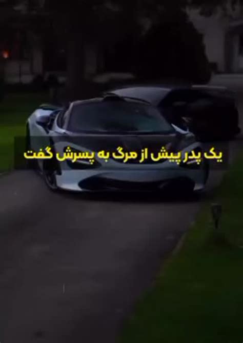 seyed ali mir mohammad hosseini posted on linkedin