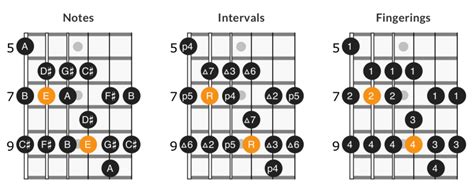 E Major Scale On Guitar Positions Theory