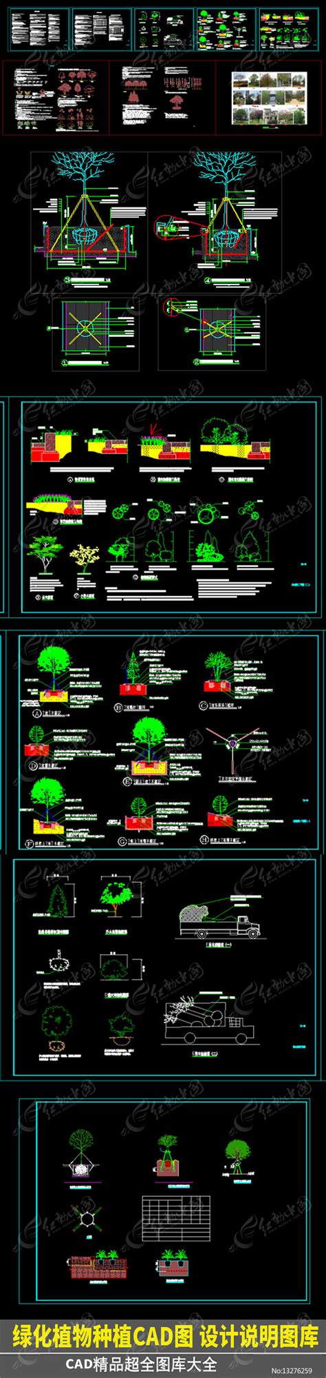 种植大样cad图库图片下载 红动中国