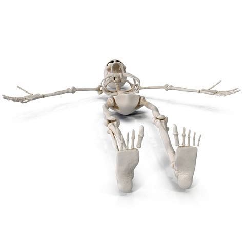 cartoon skeleton falling