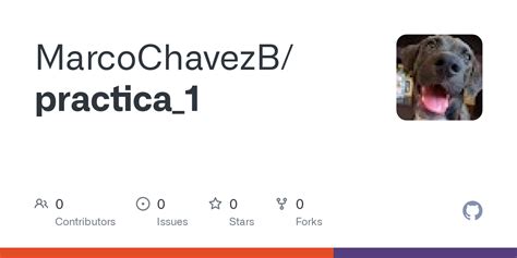 Github Marcochavezb Practica