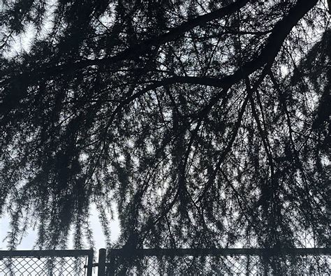 武汉光谷科技职业技术学校是中职吗？可以考大学吗？办学高考大学城