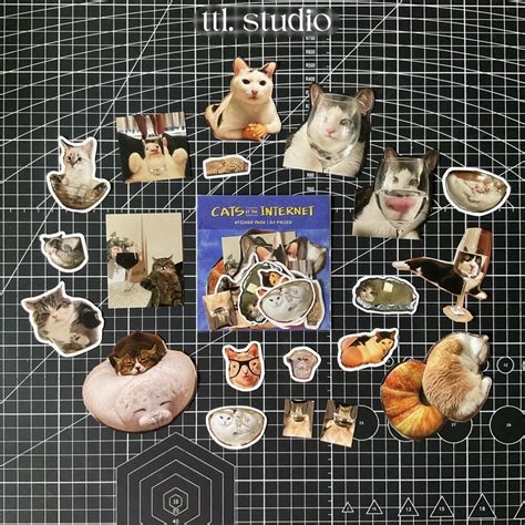 Cats Of The Internet Sticker Pack 20 Stickers Per Pack Deco Sticker Meme Sticker