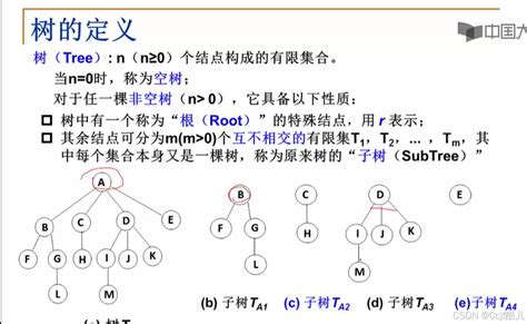 数据结构（陈越，何钦铭）第三讲 树（上） Csdn博客
