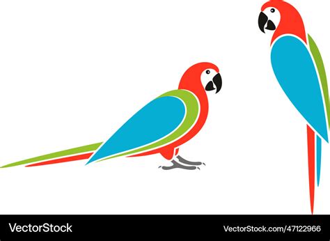 Parrot Royalty Free Vector Image Vectorstock