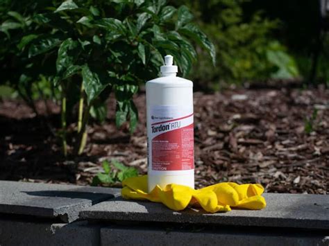 How To Kill A Tree Without Cutting It Down