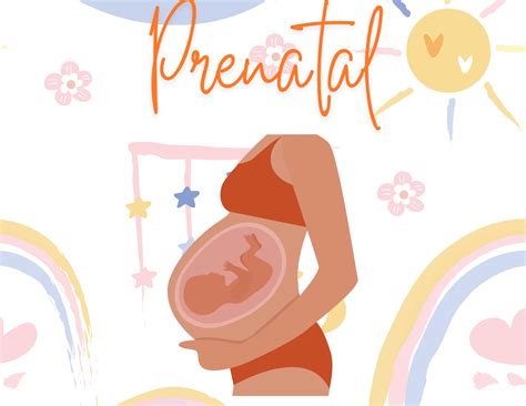 Prenatal Overview Smart Start Of Forsyth County