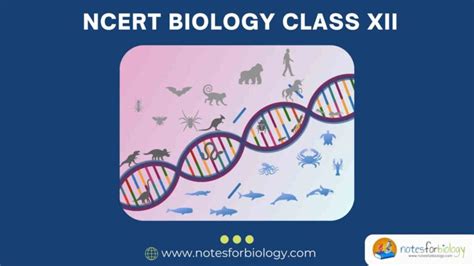 Syllabus For Ncert Biology Class 12 Best Biology Notes