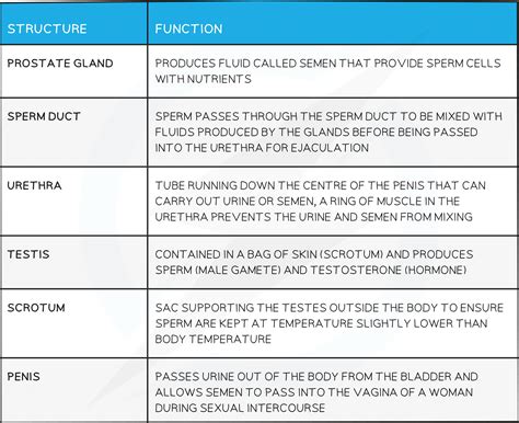 Sexual Reproduction In Humans Year 9 Pdf Download