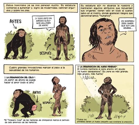 Sex Story Underbrain Mgz