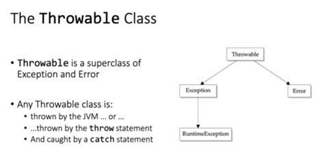 lecture 5 exception handling flashcards quizlet