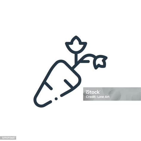 영양 개념에서 당근 아이콘 벡터 당근 편집 가능한 스트로크의 얇은 선 그림 웹 및 모바일 앱 로고 인쇄 미디어에 사용하기 위한 당근 선형 기호 0명에 대한 스톡 벡터 아트