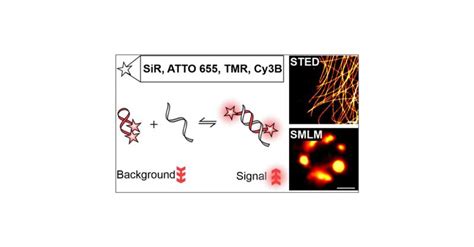 Single Molecule Biophysics Group Ak Heilemann On Linkedin Self